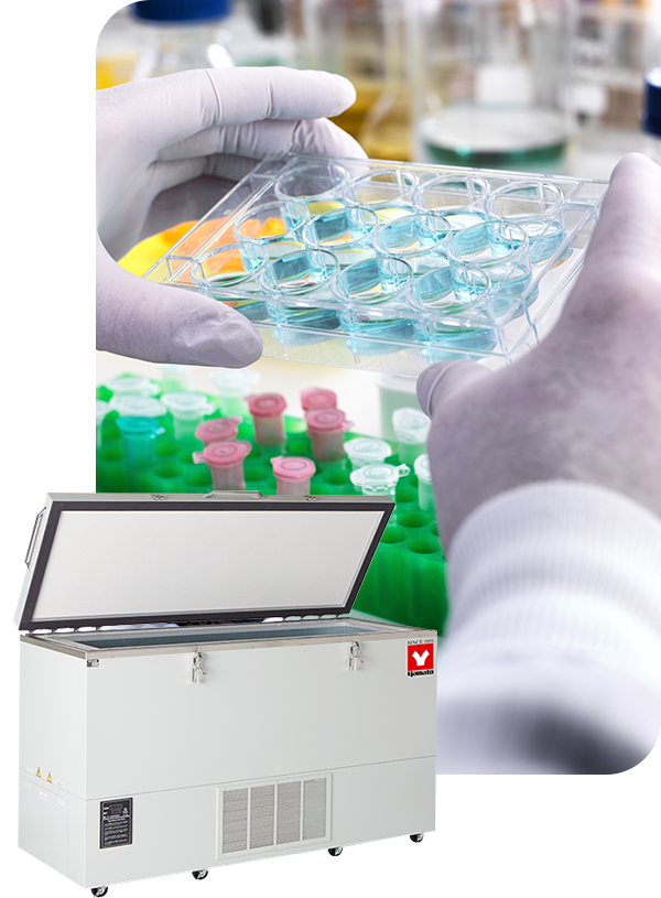 Inorganic Chemistry & Organic Chemistry Lab Equipment