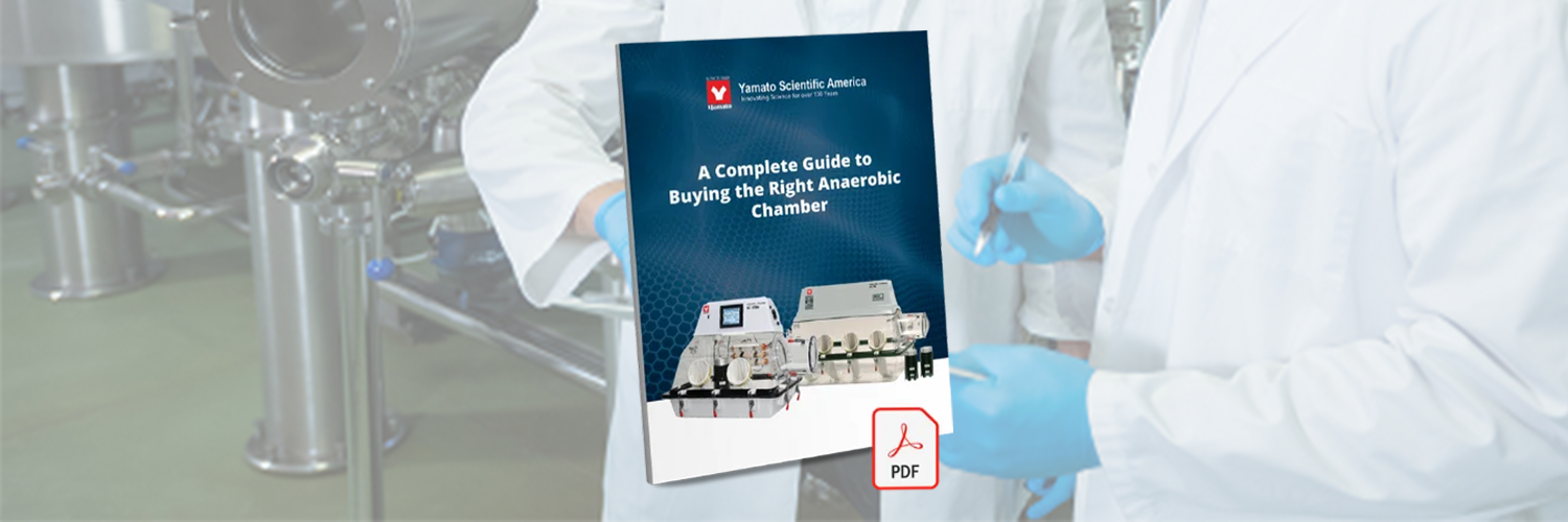 A Complete Guide to Buying the Right Anaerobic Chamber | Yamato USA