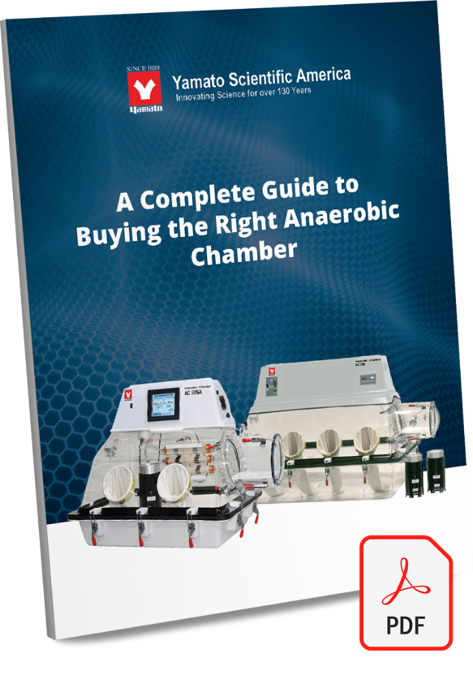 A Complete Guide to Buying the Right Anaerobic Chamber Thank You ...